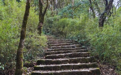 Jamacho Gumba Hike From Kathmandu | Best Shivapuri Day Hike